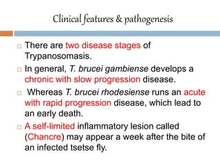 African trypanosoma | PPTX