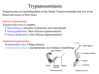 AfricanTrypanosomiasis.ppt