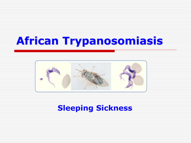 African_Trypanosomiasis 1.ppt
