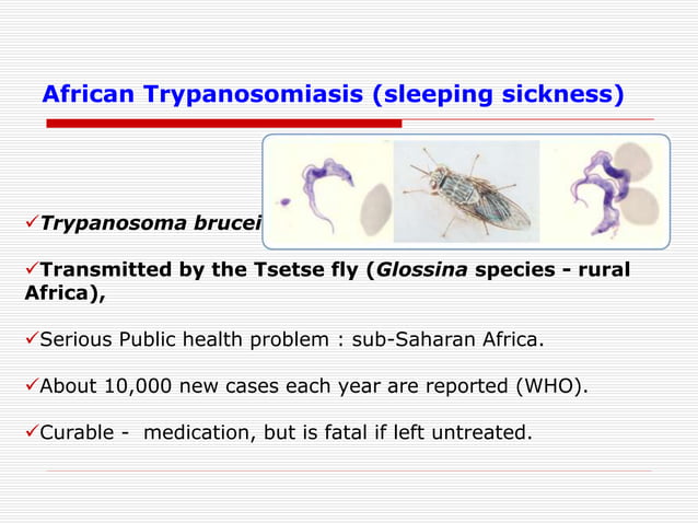 African_Trypanosomiasis 1.ppt