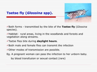 African_Trypanosomiasis 1.ppt