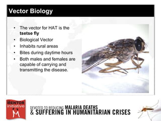 African Trypanosomiasis Matthew Malone 3-9-2012.pptx