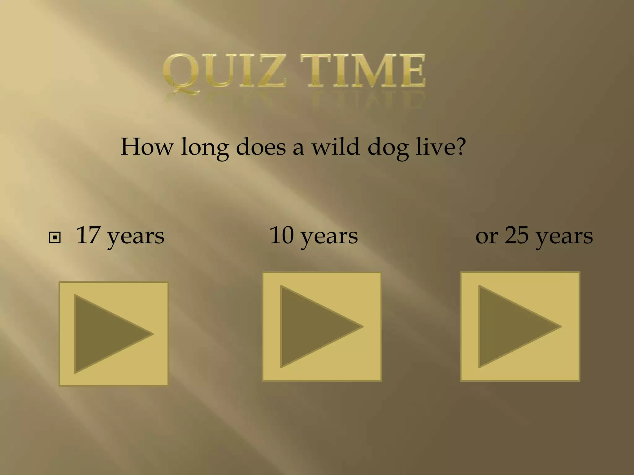 African wild dog | PPTX