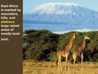 AFRICA Physical Geography Power Point and its impact. | PPTX