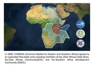 Africa: Political and Economic Geography | PPT