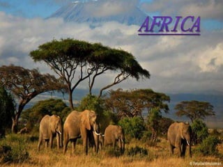 Africa presentation | PPT