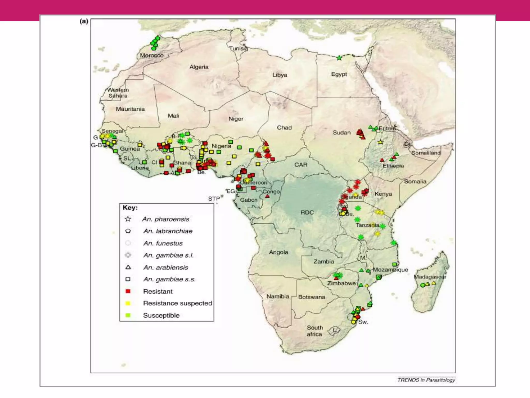 African resistance | PPTX