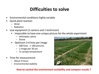 Th1_Canopy temperature as field phenotyping trait for rainfed-lowland ...
