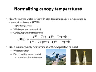Th1_Canopy temperature as field phenotyping trait for rainfed-lowland ...