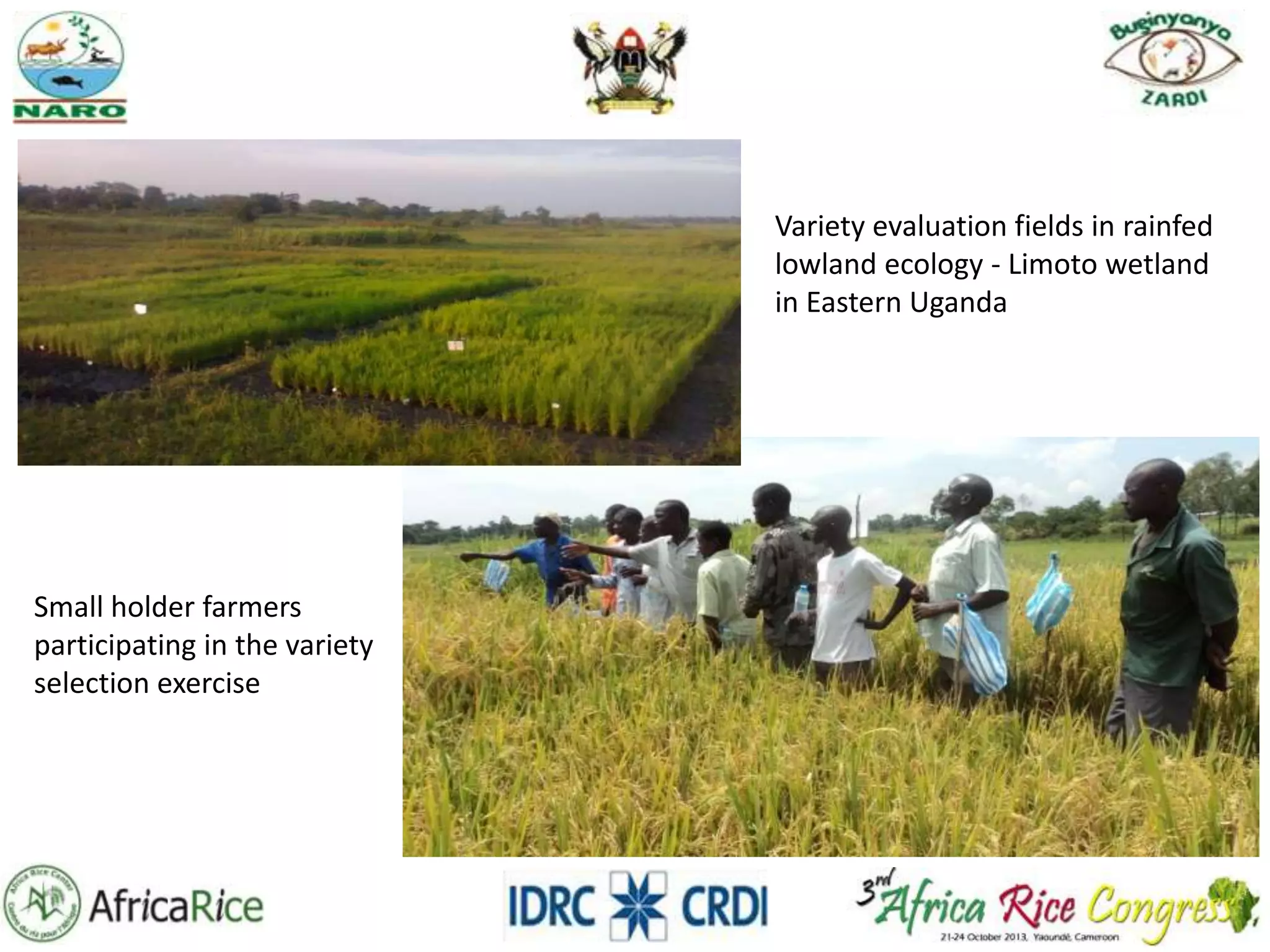 Th1_Participatory identification of farmer-acceptable improved rice ...