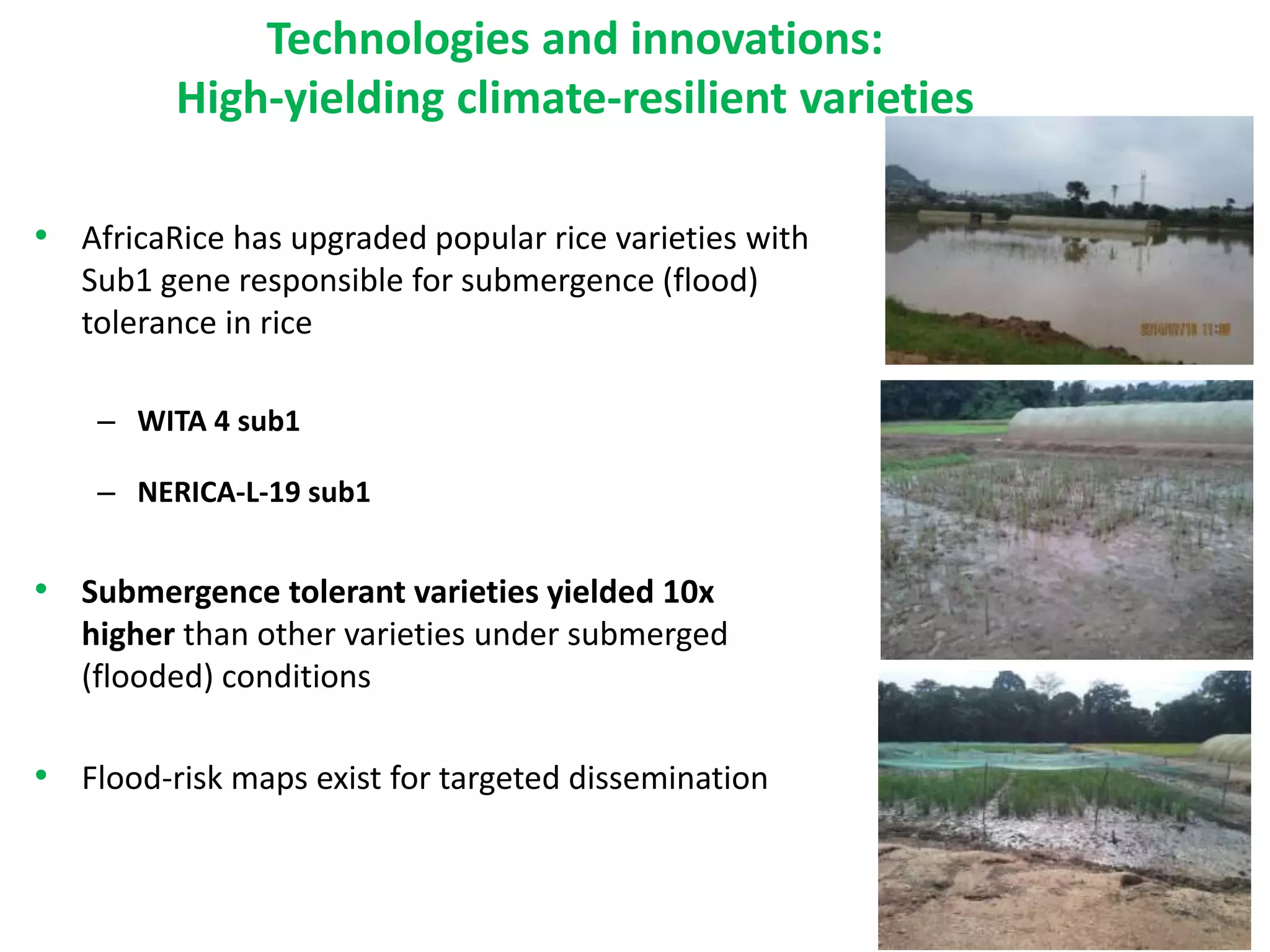 Africa Riceing : Mobilizing and applying science and complementary ...