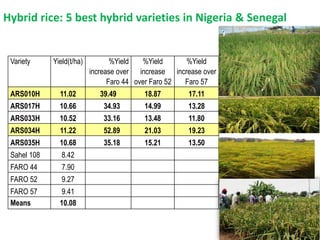 Africa Riceing : Mobilizing and applying science and complementary ...