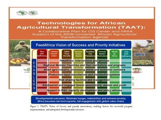Africa Riceing : Mobilizing and applying science and complementary ...