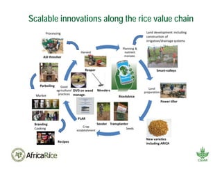Africa Rice Center (AfricaRice): A CGIAR research center and pan ...