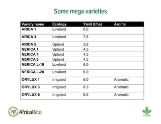 Africa Rice Center (AfricaRice): A CGIAR research center and pan ...