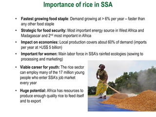 Africa Rice Center (AfricaRice | PDF