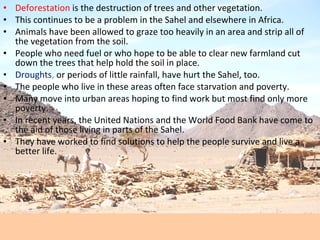 Africas Environmental Policies | PPT