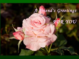 A Friend's Greetings | PPS