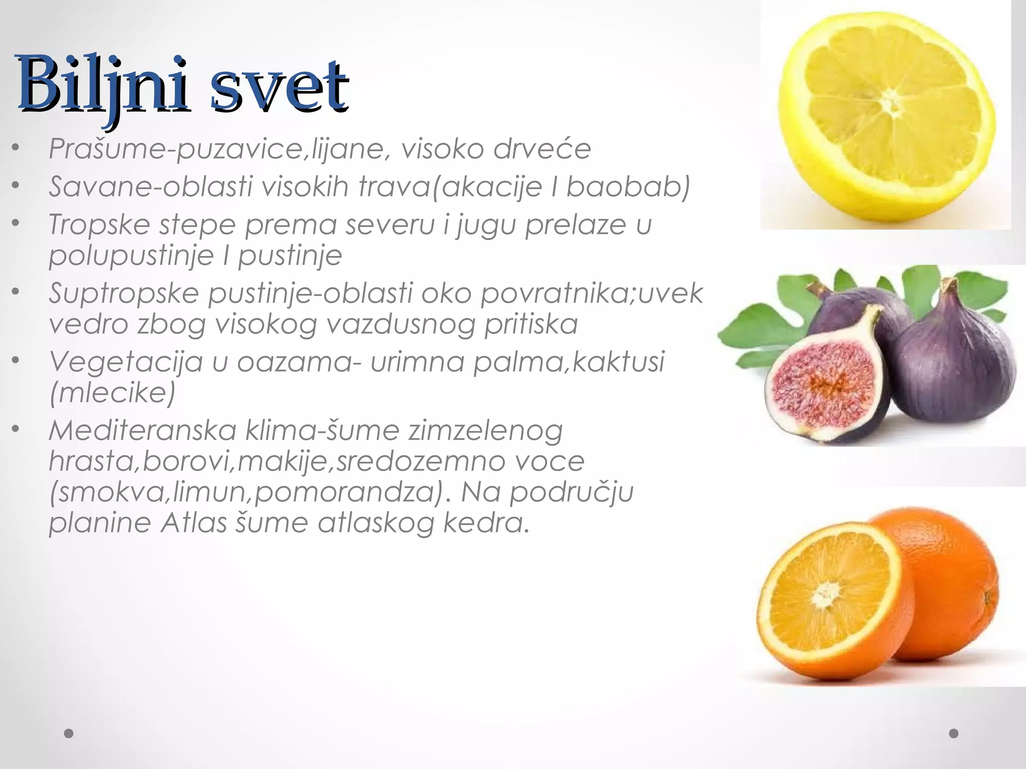 Afrika | PPT