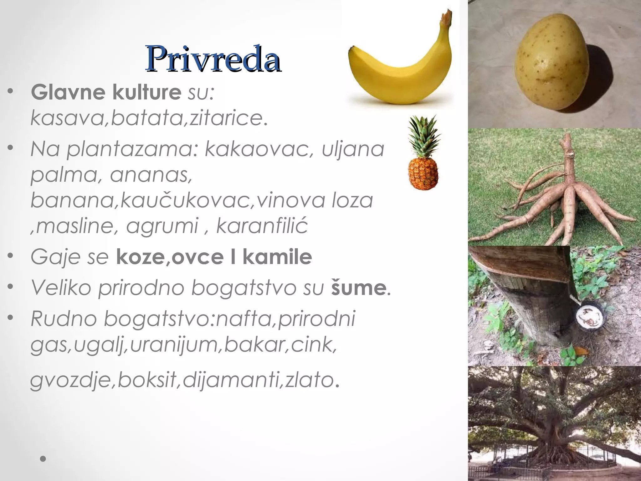 Afrika | PPT