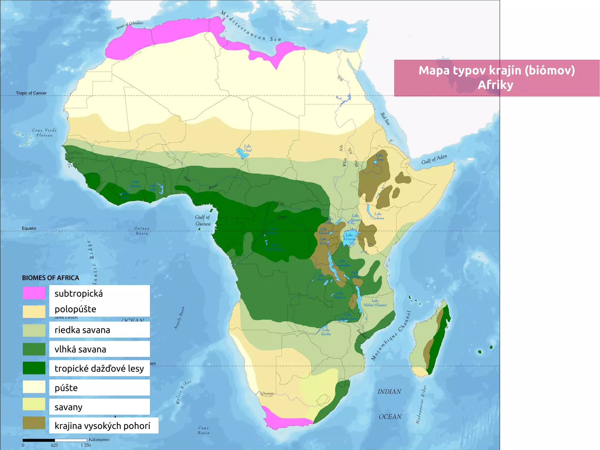 Afrika rastlinstvo a živočíšstvo | PDF