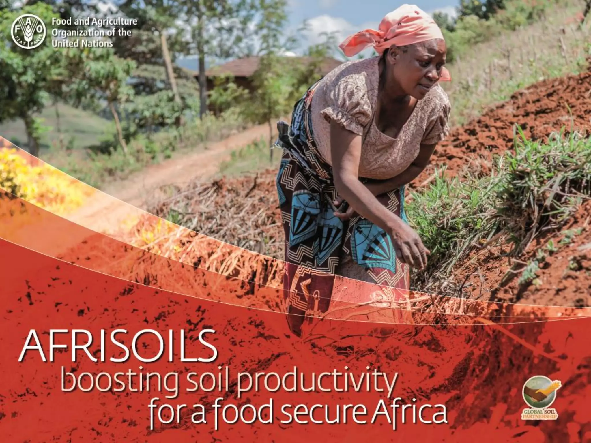 The State of Soils in Africa and Priorities for Sustainable Soil ...