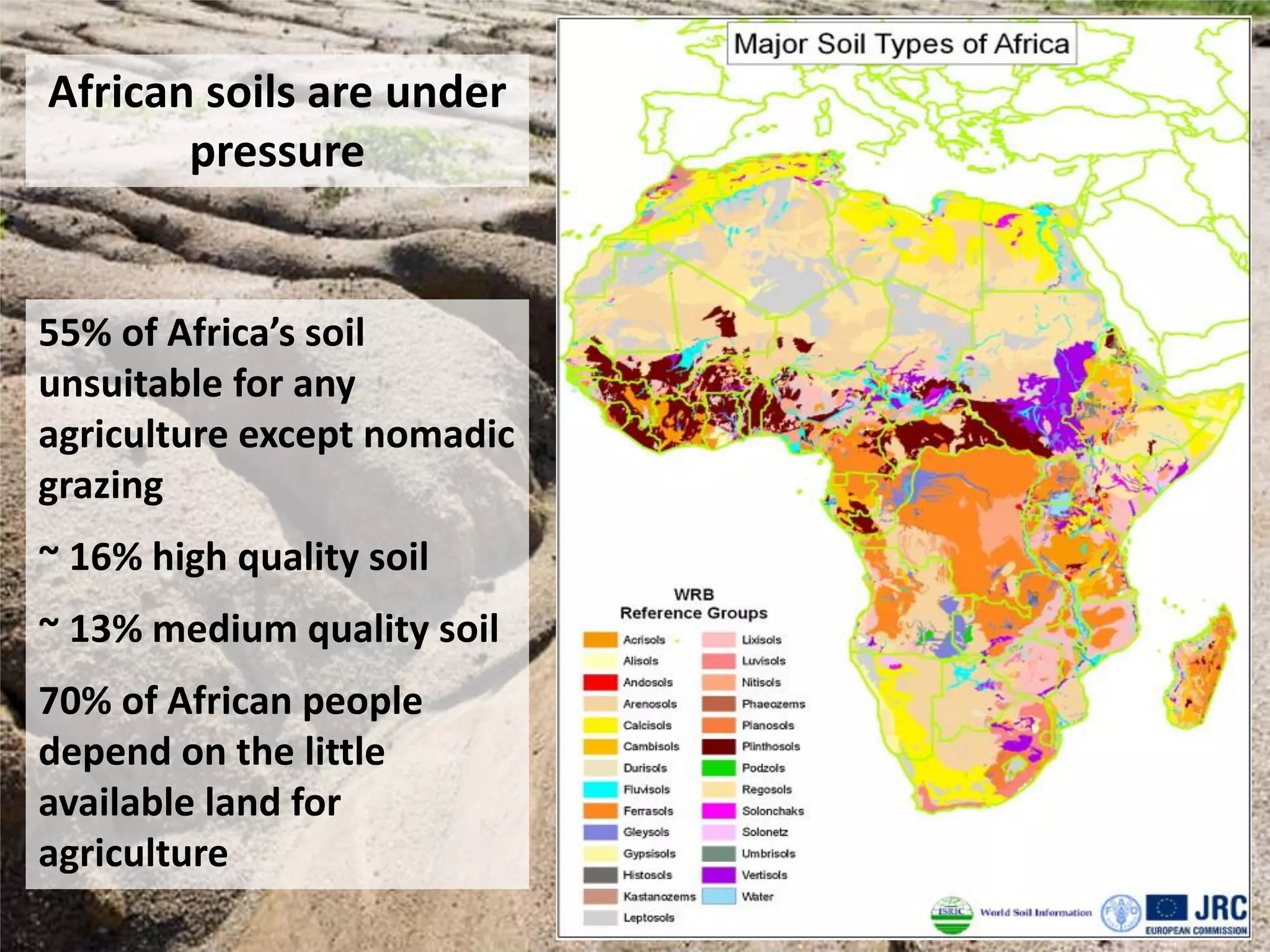 The State of Soils in Africa and Priorities for Sustainable Soil ...