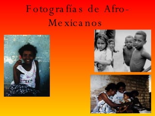 Afro-Mexicans | PPT