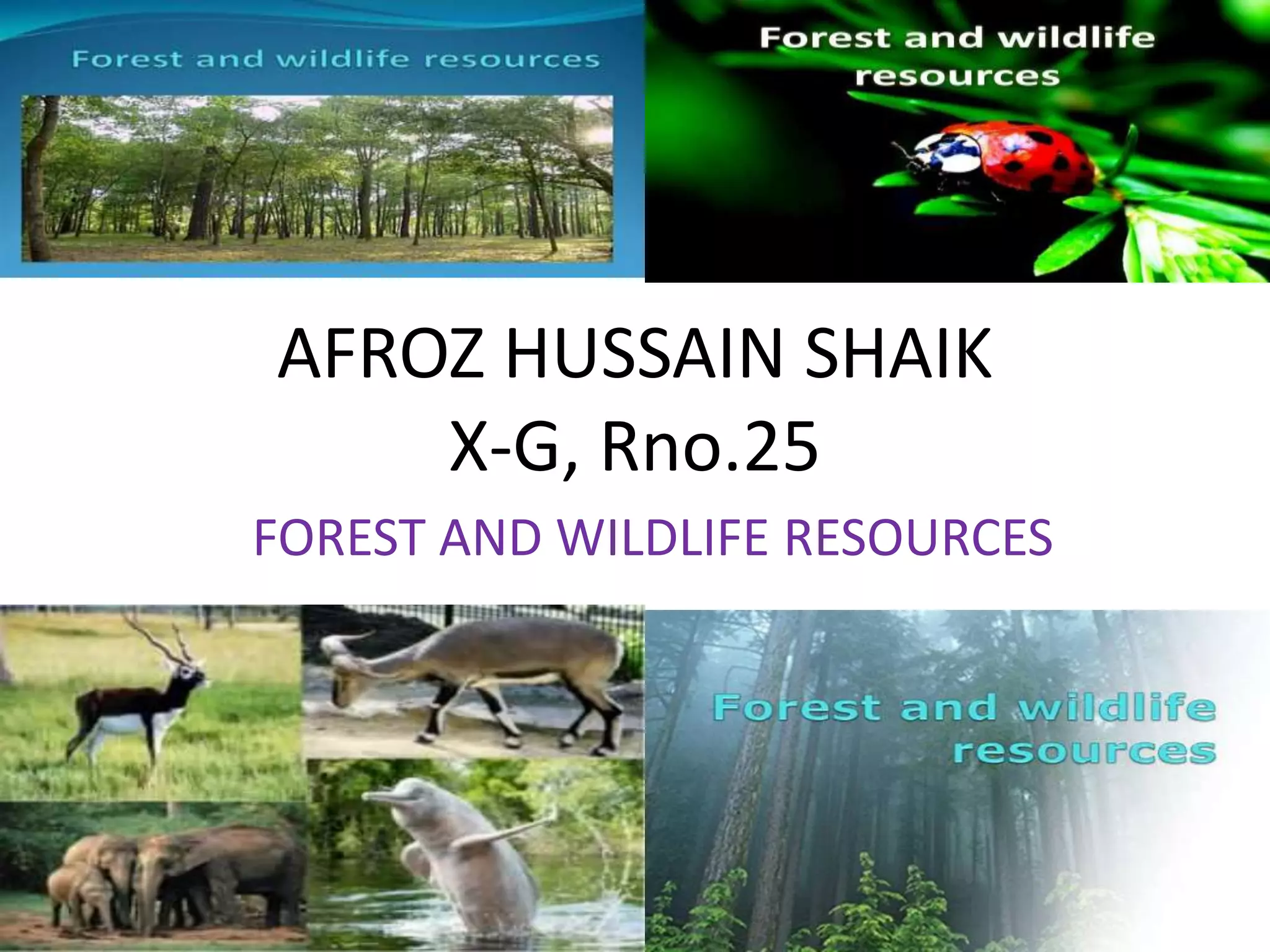 Forest and Wildlife Resources.pptx