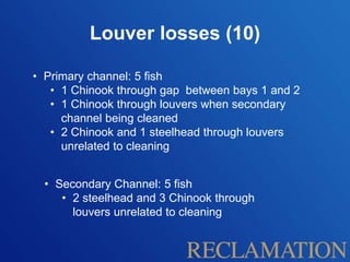 Chinook Salmon and Steelhead Loss Study, Tracy Fish Collection Facility ...