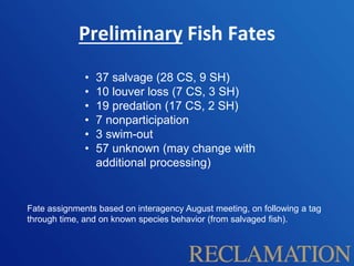 Chinook Salmon and Steelhead Loss Study, Tracy Fish Collection Facility ...