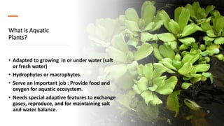 plant adaptation to aquatic environment | PPTX