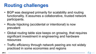 AFSIG 2023: Internet routing and addressing | PDF