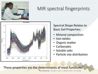 Africa Soil Spectroscopy Laboratory Network | PPTX