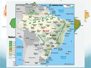Brazil Case Study Presentation | PPT