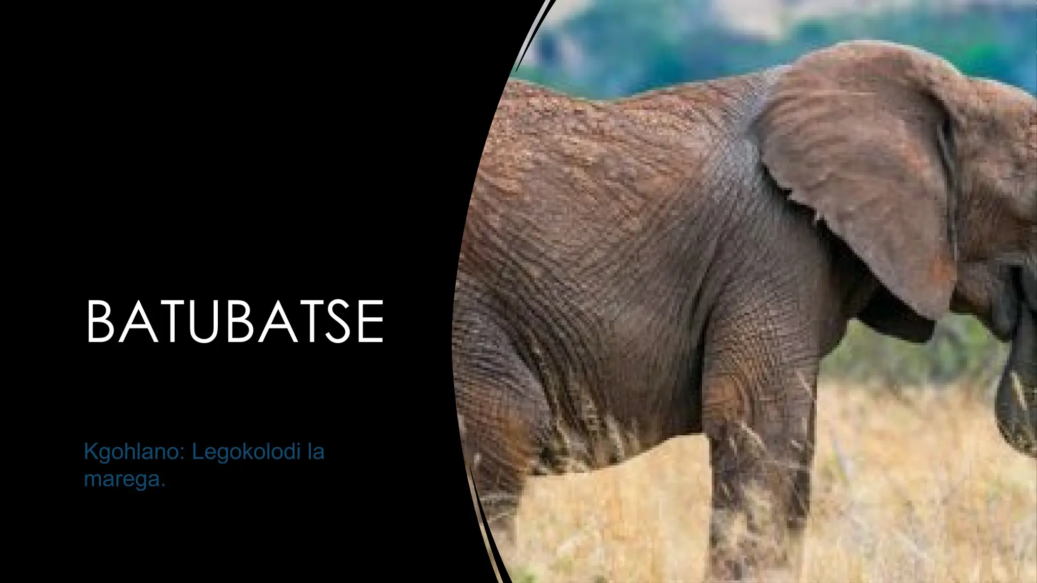 AFT 121 BATUBATSE (KGOHLANO) LEGOKOLODI LA MAREGA.pptx