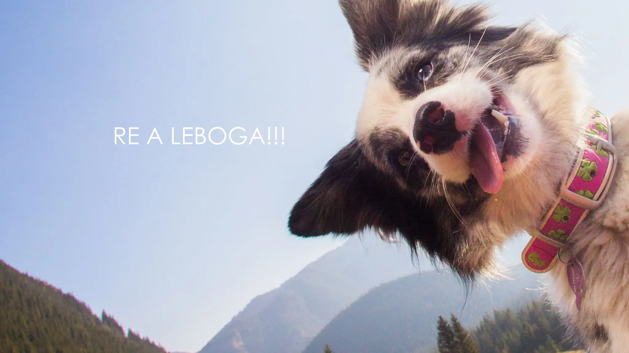 AFT 121 BATUBATSE (KGOHLANO) LEGOKOLODI LA MAREGA.pptx