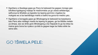 AFT 121 BATUBATSE (KGOHLANO) LEGOKOLODI LA MAREGA.pptx
