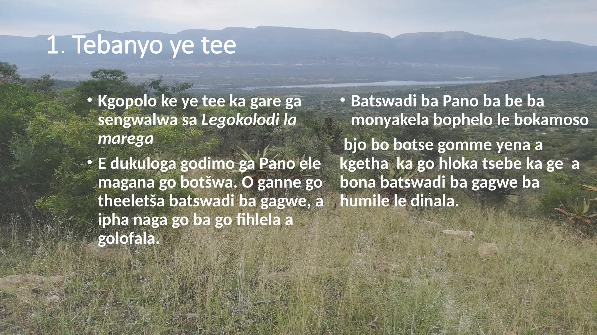AFT_121_PRESENTATION-3[1][1].pptx (Sepedi) | PPTX