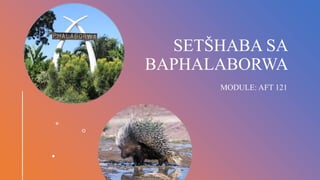 AFT 121 Sehlopha sa Baphalaborwa 2023.pptx
