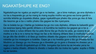 AFT220 - Pego YA MORERO WA LENONG LA GAUTA | PPTX