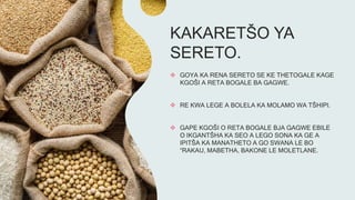 AFT 220- PEGO YA SEHLOPHA SA BAPEDI (FINAL).pptx