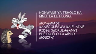 Nonwane tsholo.pptx