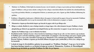 AFT220_PEGO_YA_BOFEMENISI_by_DIKGADI_.pptx