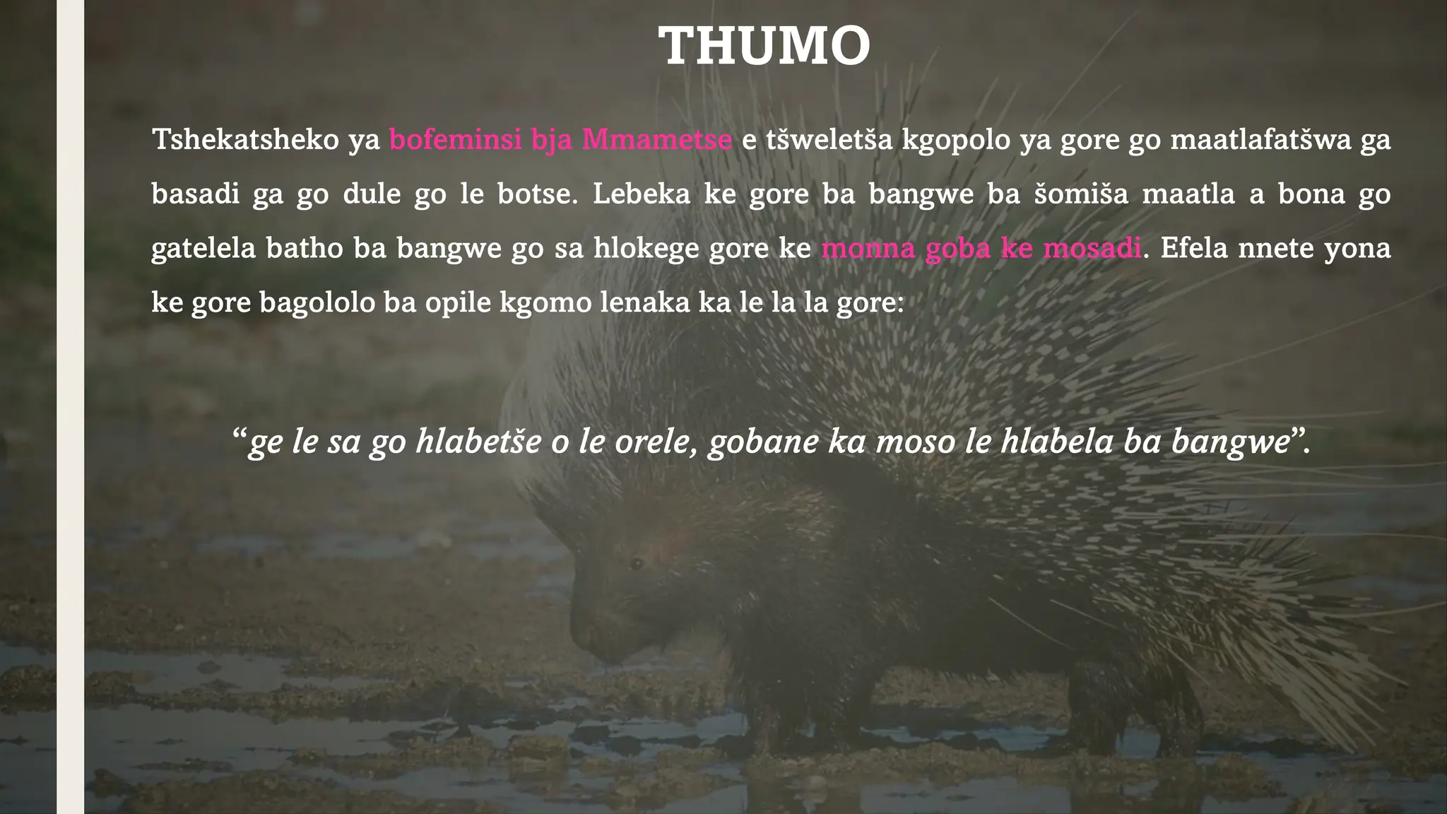 AFT 220 Pego ya Dinoko tsa Leboa. Bofeminisi ba Mmametse..pdf