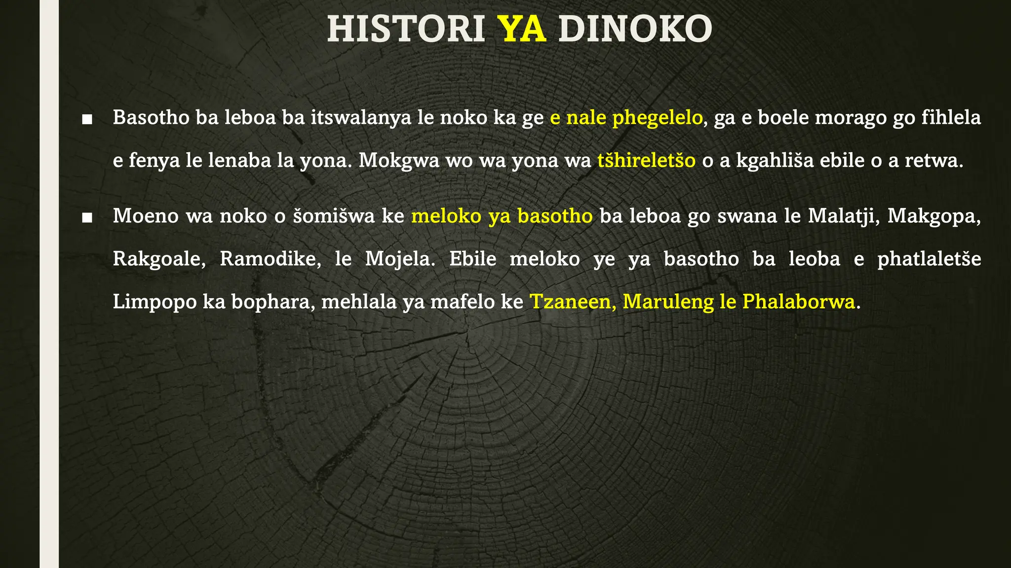 AFT 220 Pego ya Dinoko tsa Leboa. Bofeminisi ba Mmametse..pdf