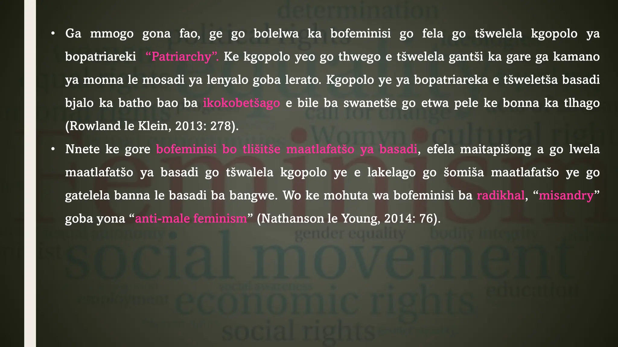 AFT 220 Pego ya Dinoko tsa Leboa. Bofeminisi ba Mmametse..pdf