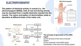 investigations in neurology powerpoint presentation | PPTX