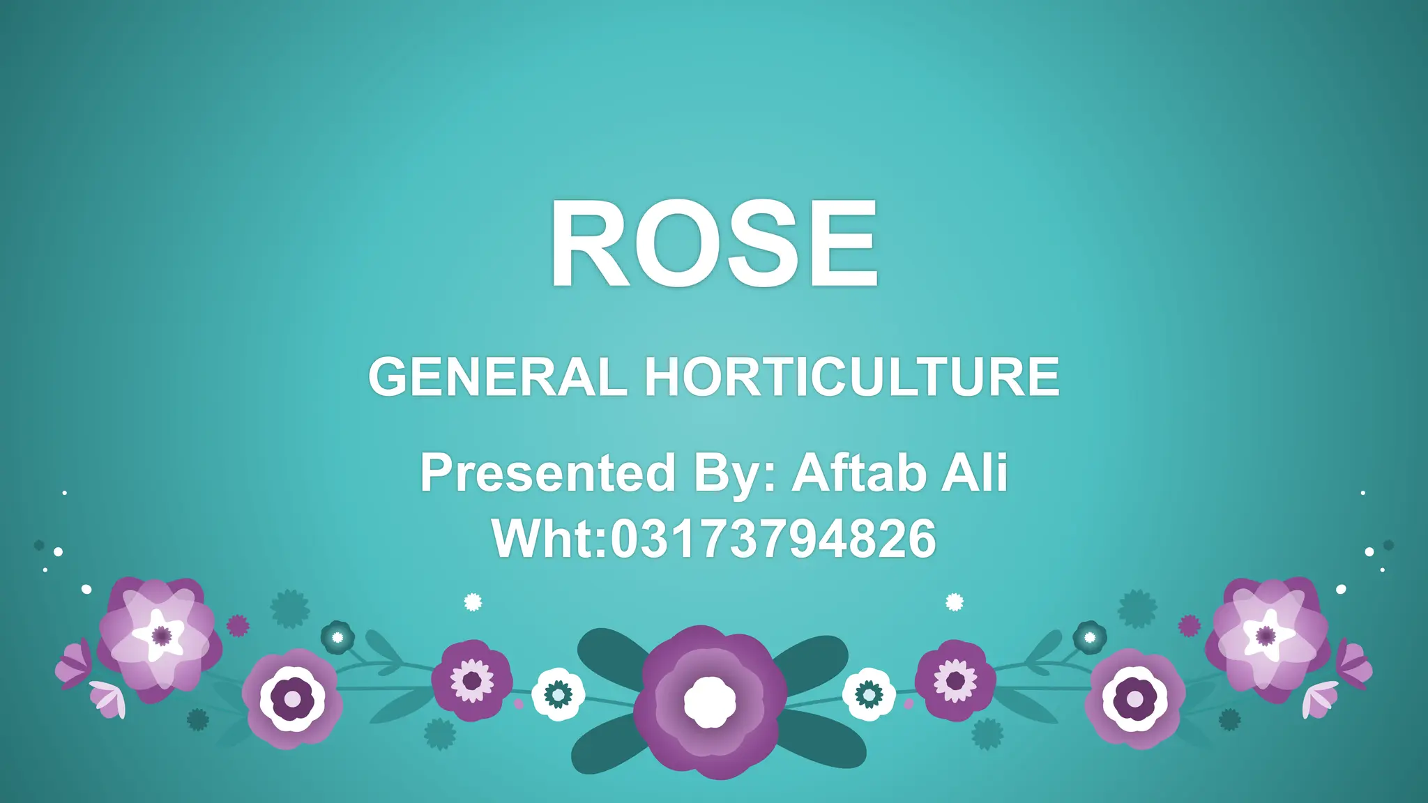 presentation ROSE FLOWERS HORTICULTURE pptx | PPTX