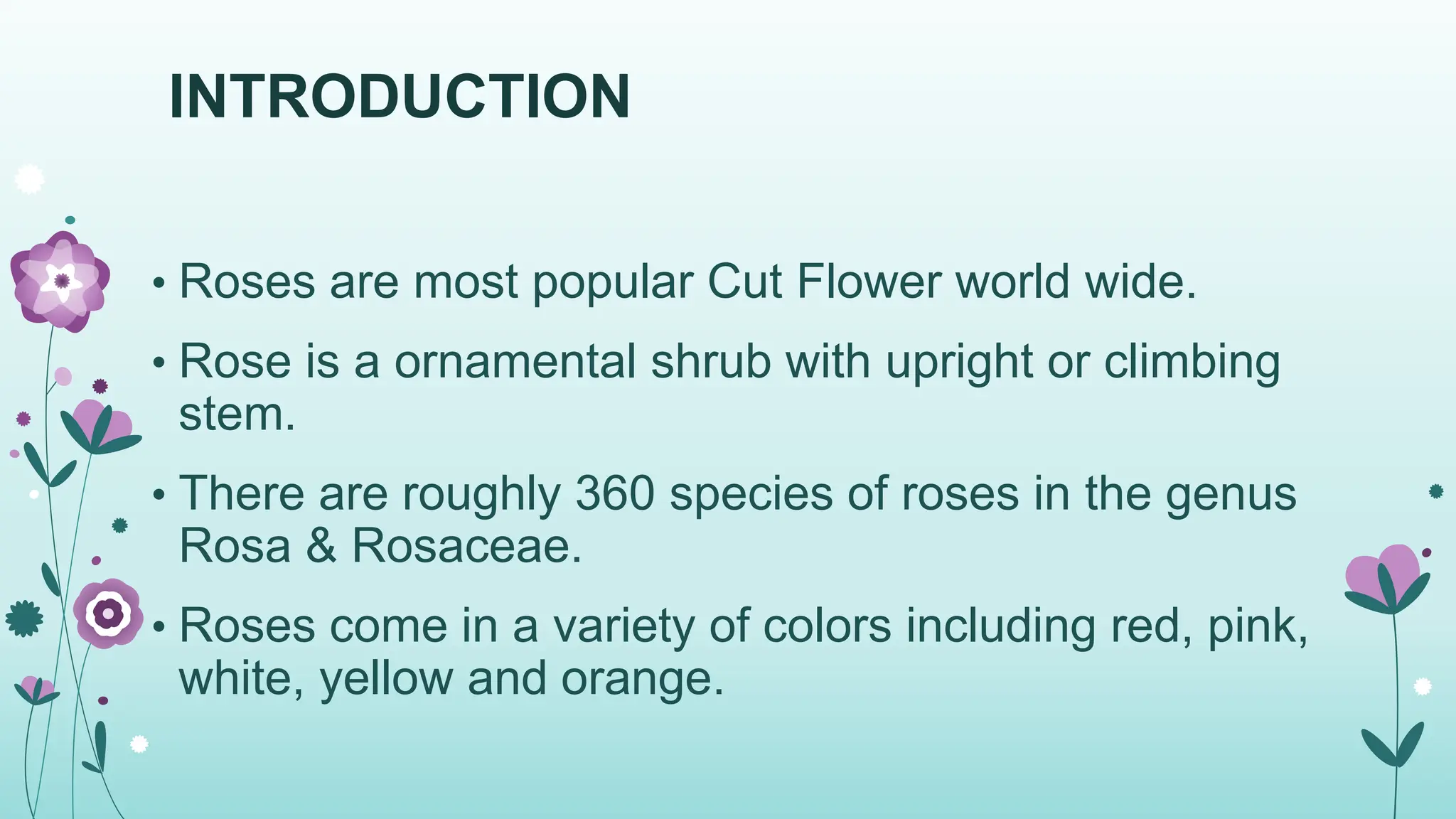 presentation ROSE FLOWERS HORTICULTURE pptx | PPTX